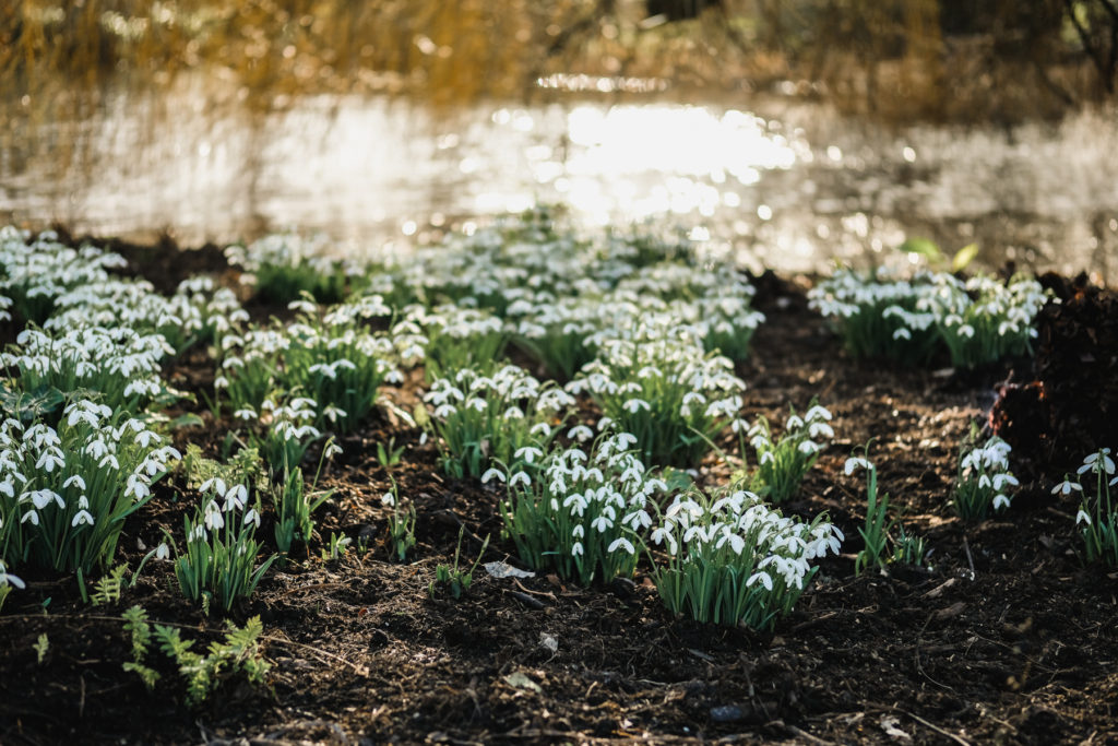 Danish Easter: Gækkebreve, Eggs & Schnapps Galore!