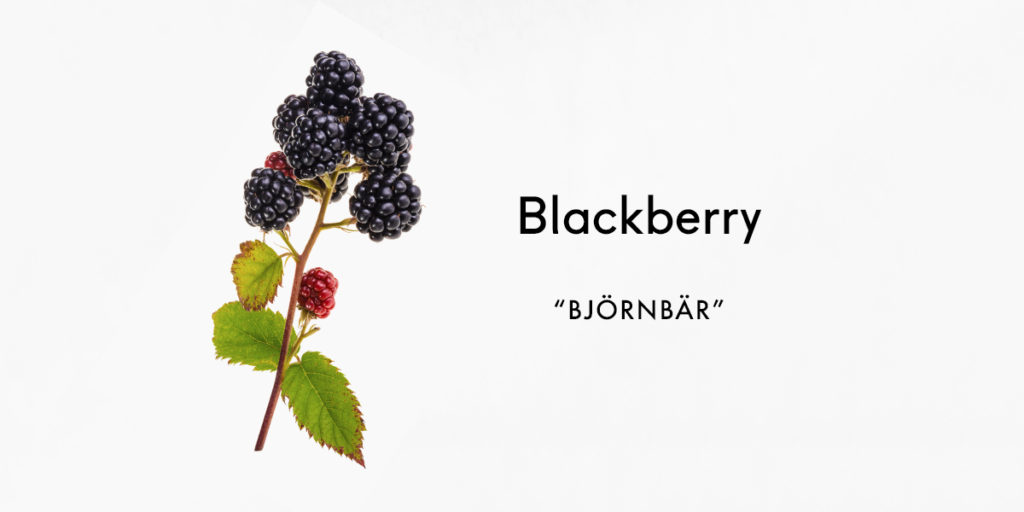 A Guide to Swedish Berries