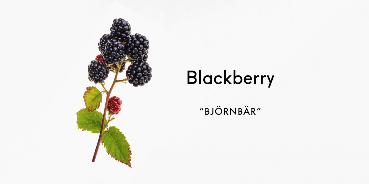 A Guide to Swedish Berries