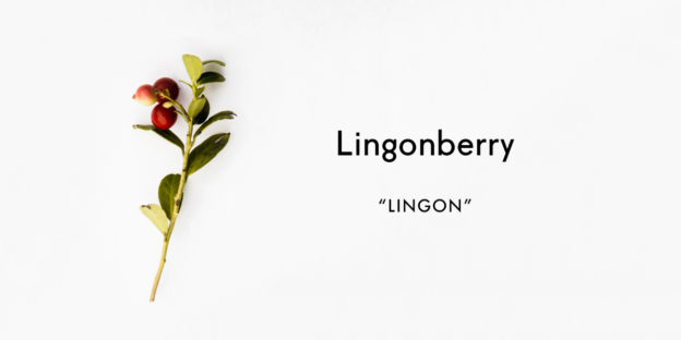 A Guide to Swedish Berries