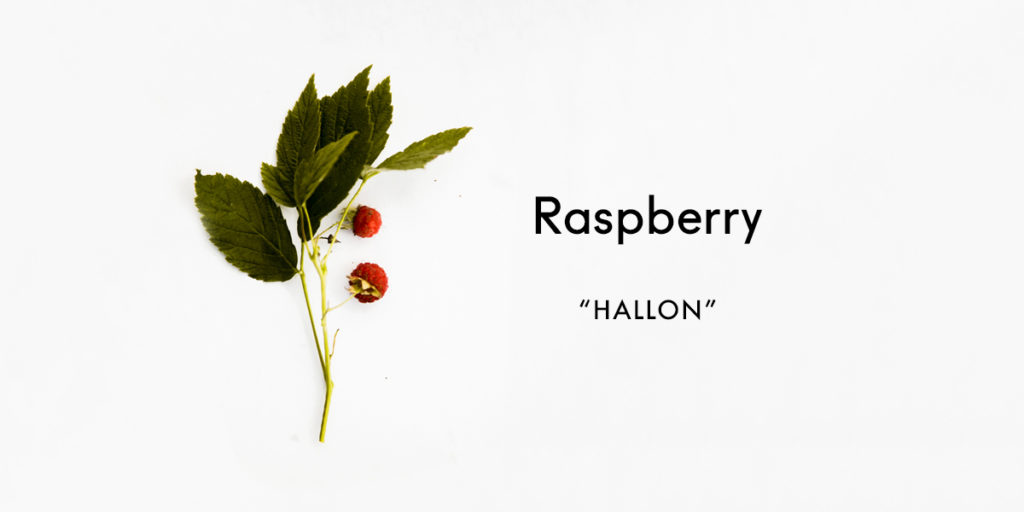 A Guide to Swedish Berries