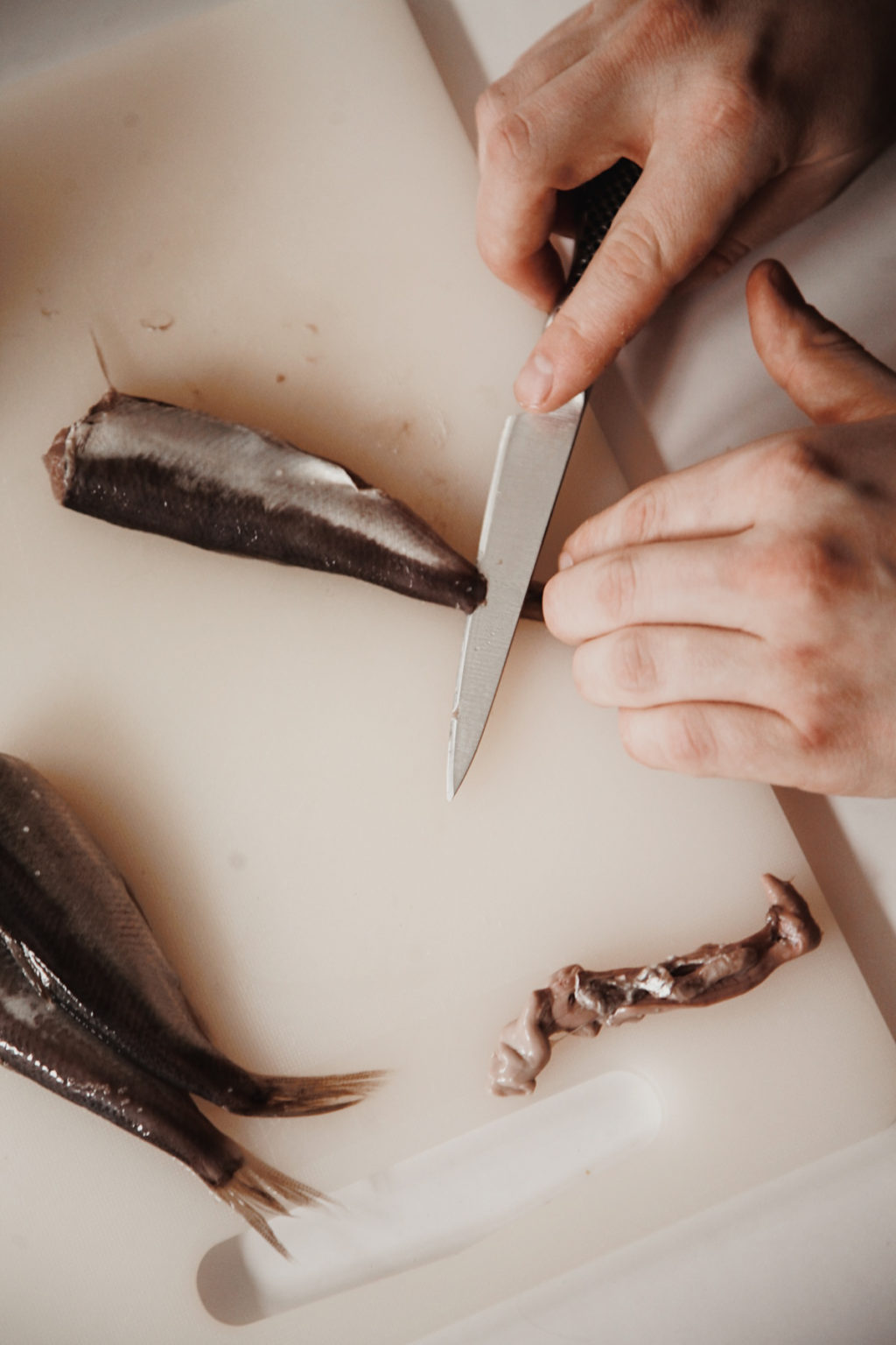 Swedish Surströmming: The World's Smelliest Food