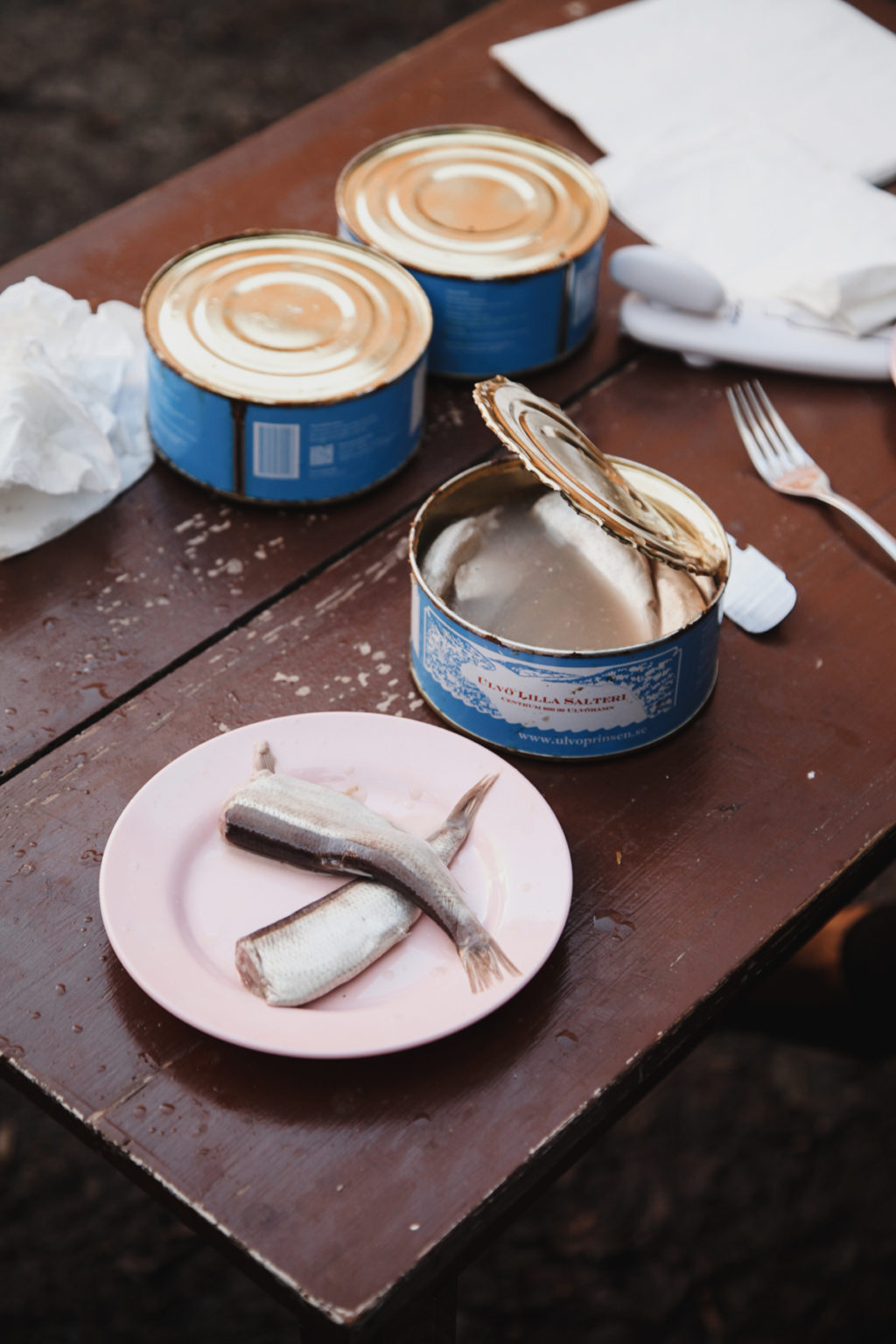 Swedish Surströmming: The World's Smelliest Food