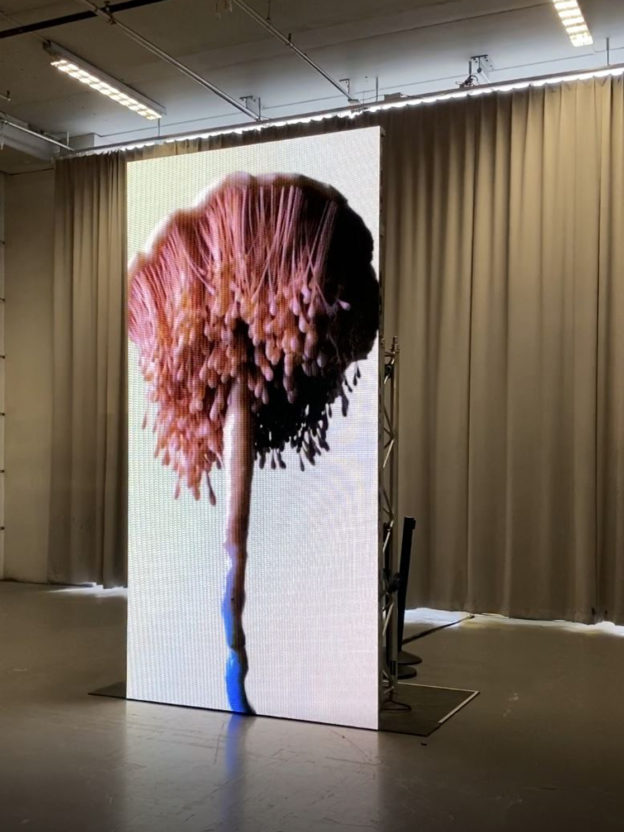 Artist Spotlight: Swedish Multidisciplinary Studio Wang & Söderström